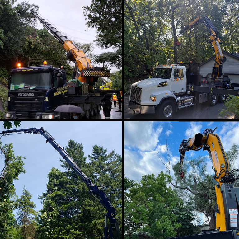 Why Knuckle Boom Cranes Are Perfect For Tree Care - CPS GROUP
